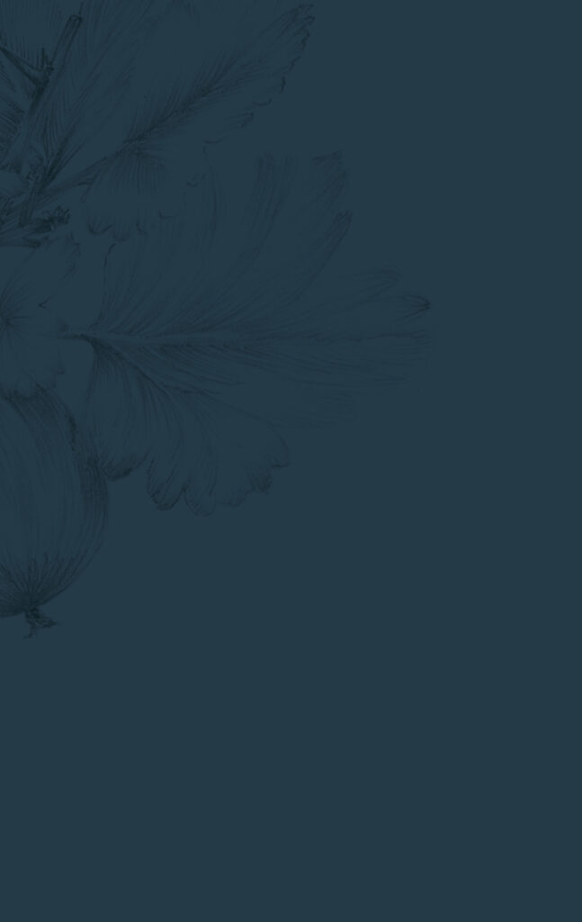 Contemporary Sophistication at The Shaw Club in Niagara on the Lake